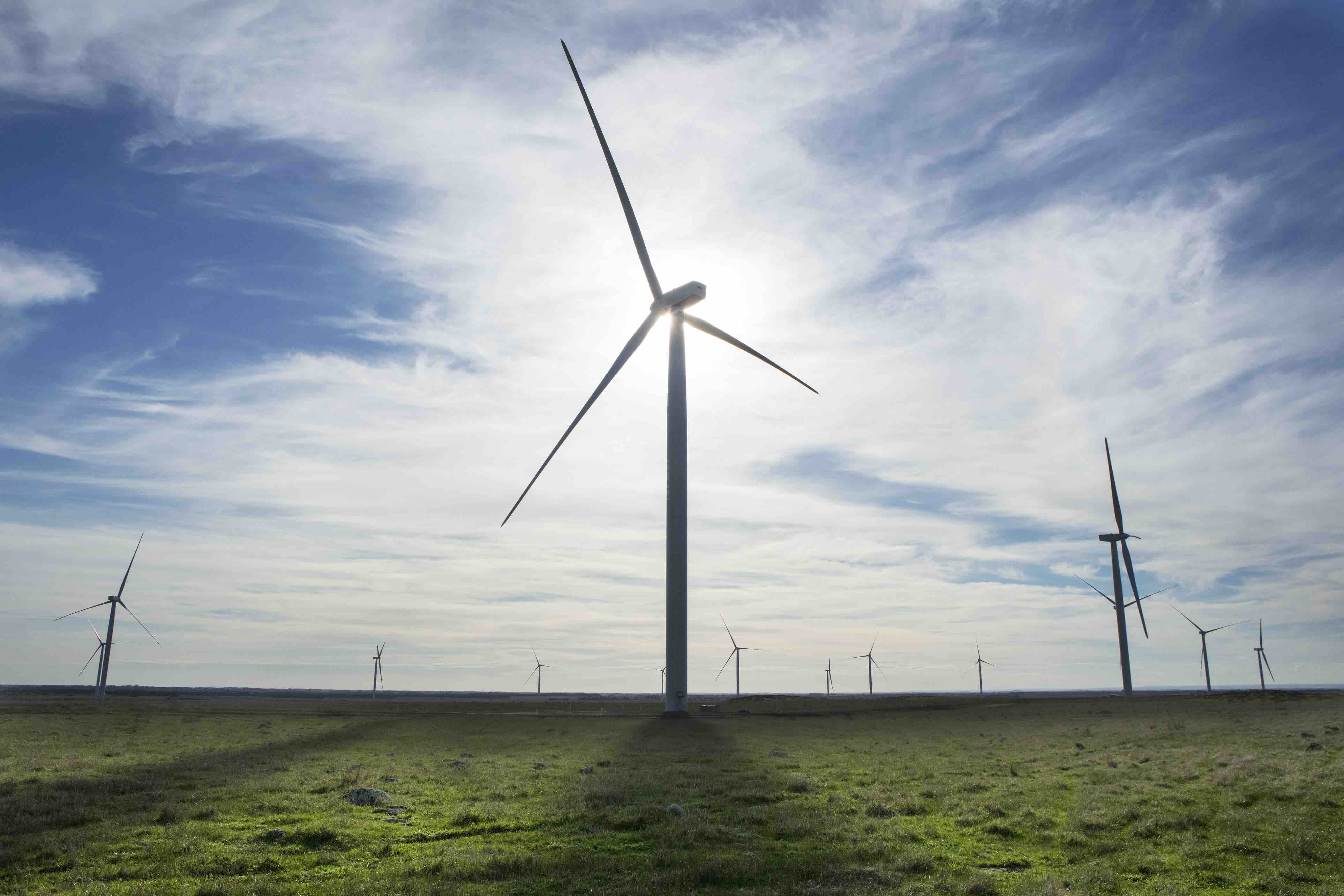 Decmil awarded $79M Yandin wind farm balance of plant contract ...