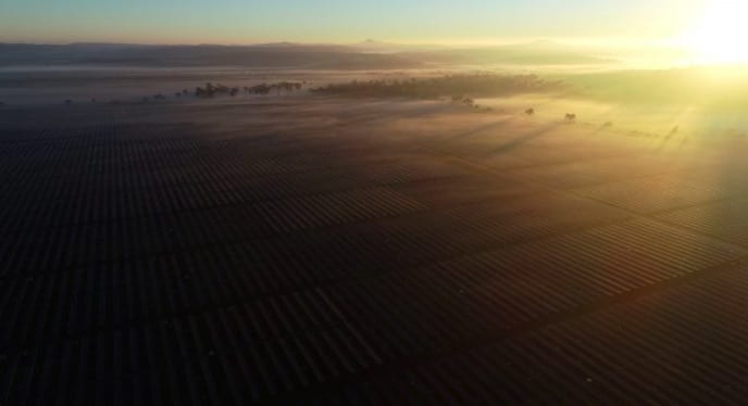 Risen Energy’s Yarranlea Solar Farm is connected to the grid | RenewEconomy
