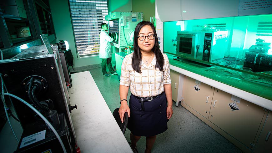Deakin Uni leads research hub looking beyond lithium for next ...