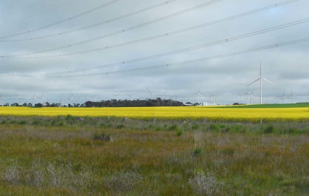 Massive Golden Plains wind farm out of court and back on track, with ...