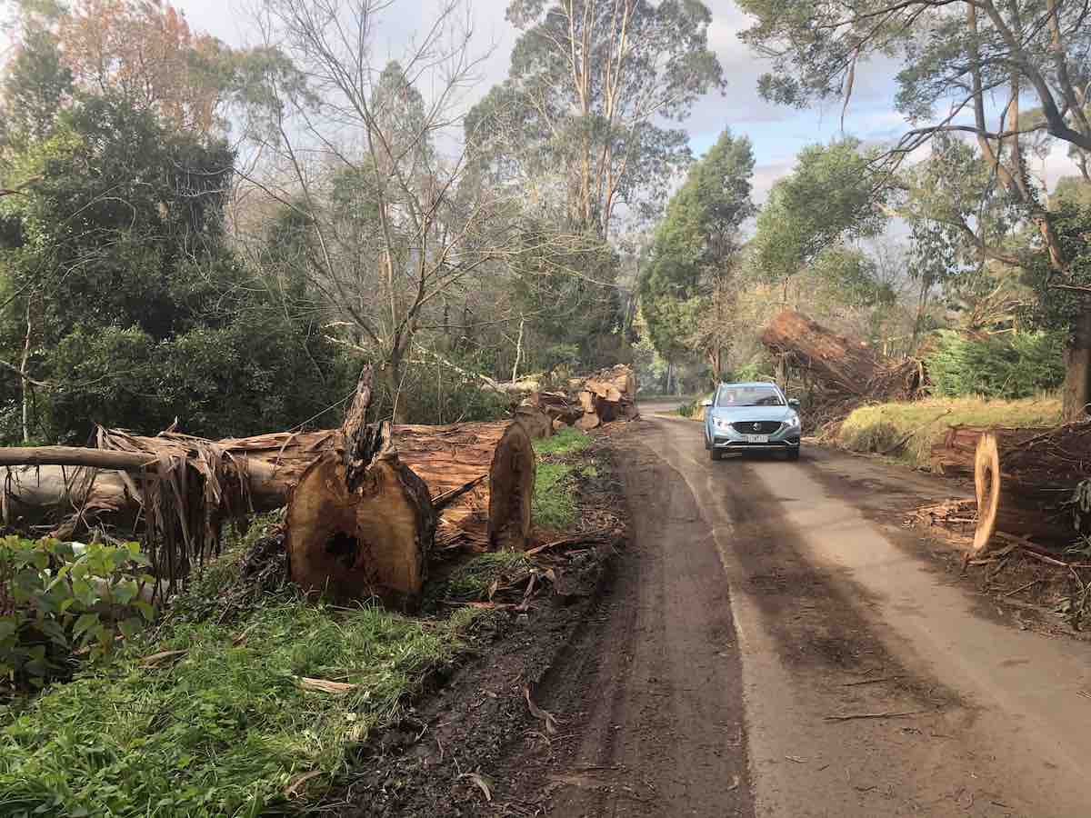 Three weeks without power? That’s the reality for thousands in Victoria ...
