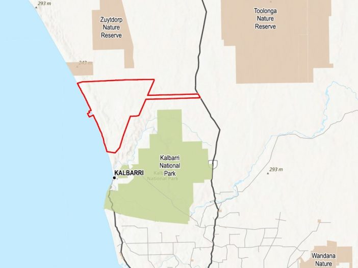 Danish giant reveals details of giga-scale renewable hydrogen plans in ...