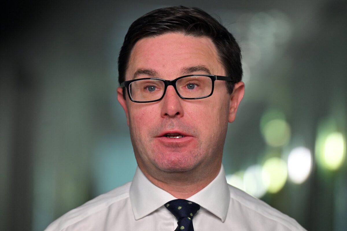 "Renewables are a virus:" Where have you gone, David Littleproud ...